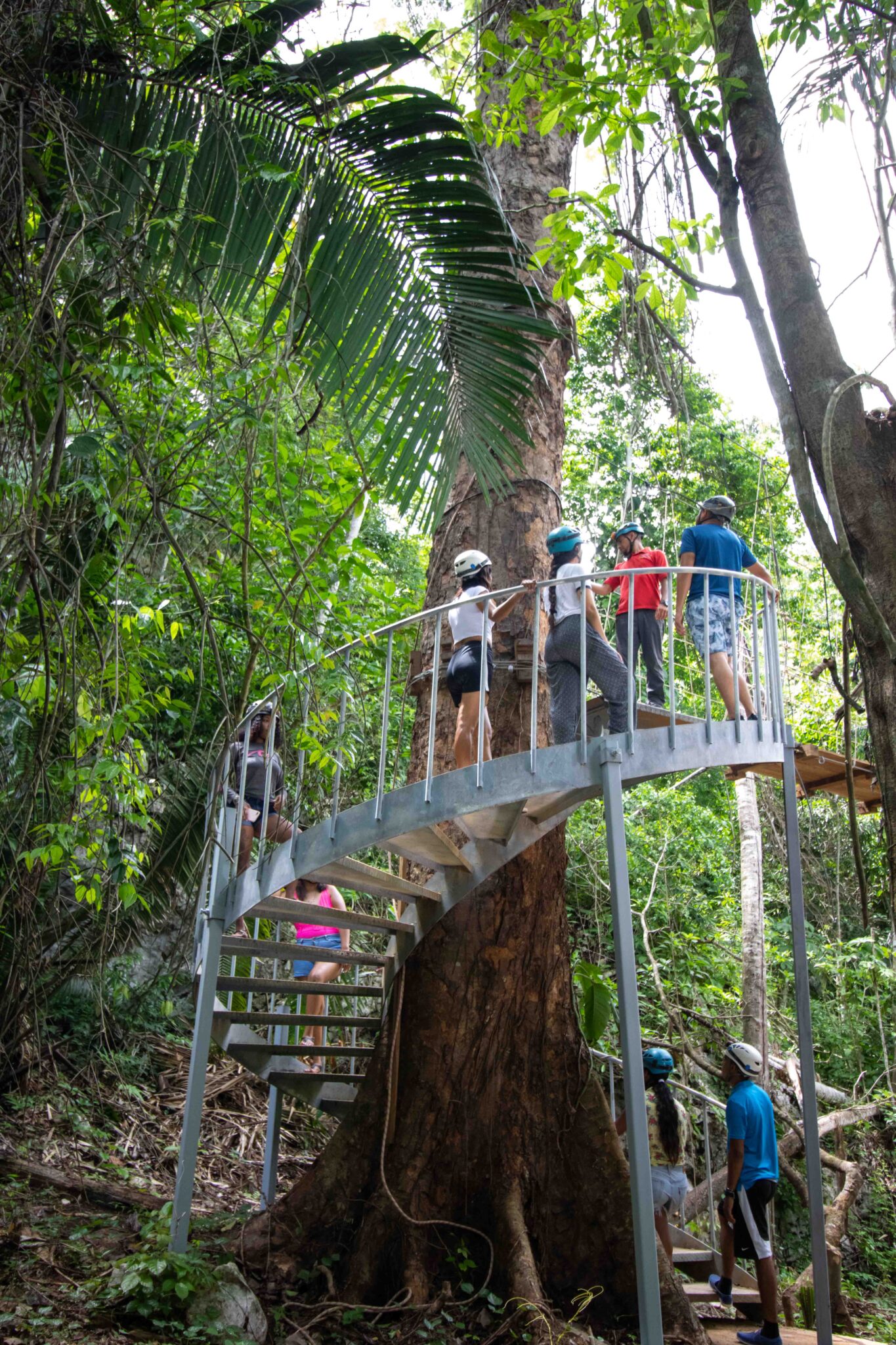 Rainforest Bridges in the Sky w/ Cave Tubing - Dark Night Cave Tubing ...