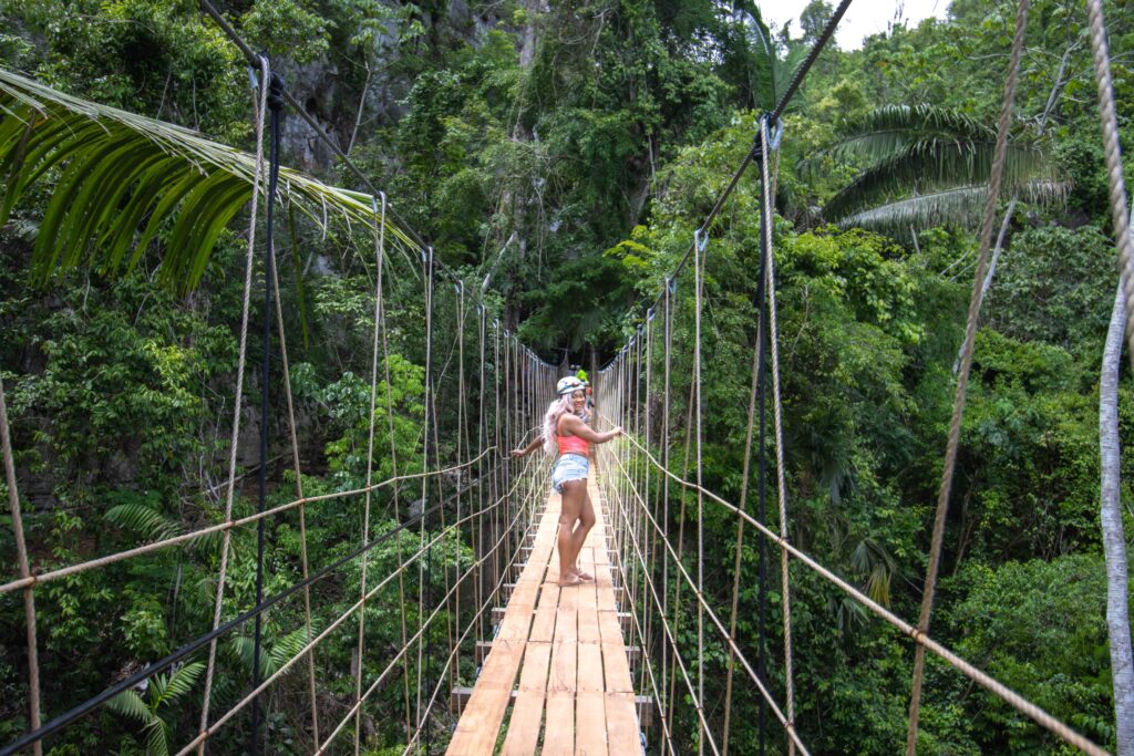 Rainforest Bridges in the Sky w/ Cave Tubing - Dark Night Cave Tubing ...