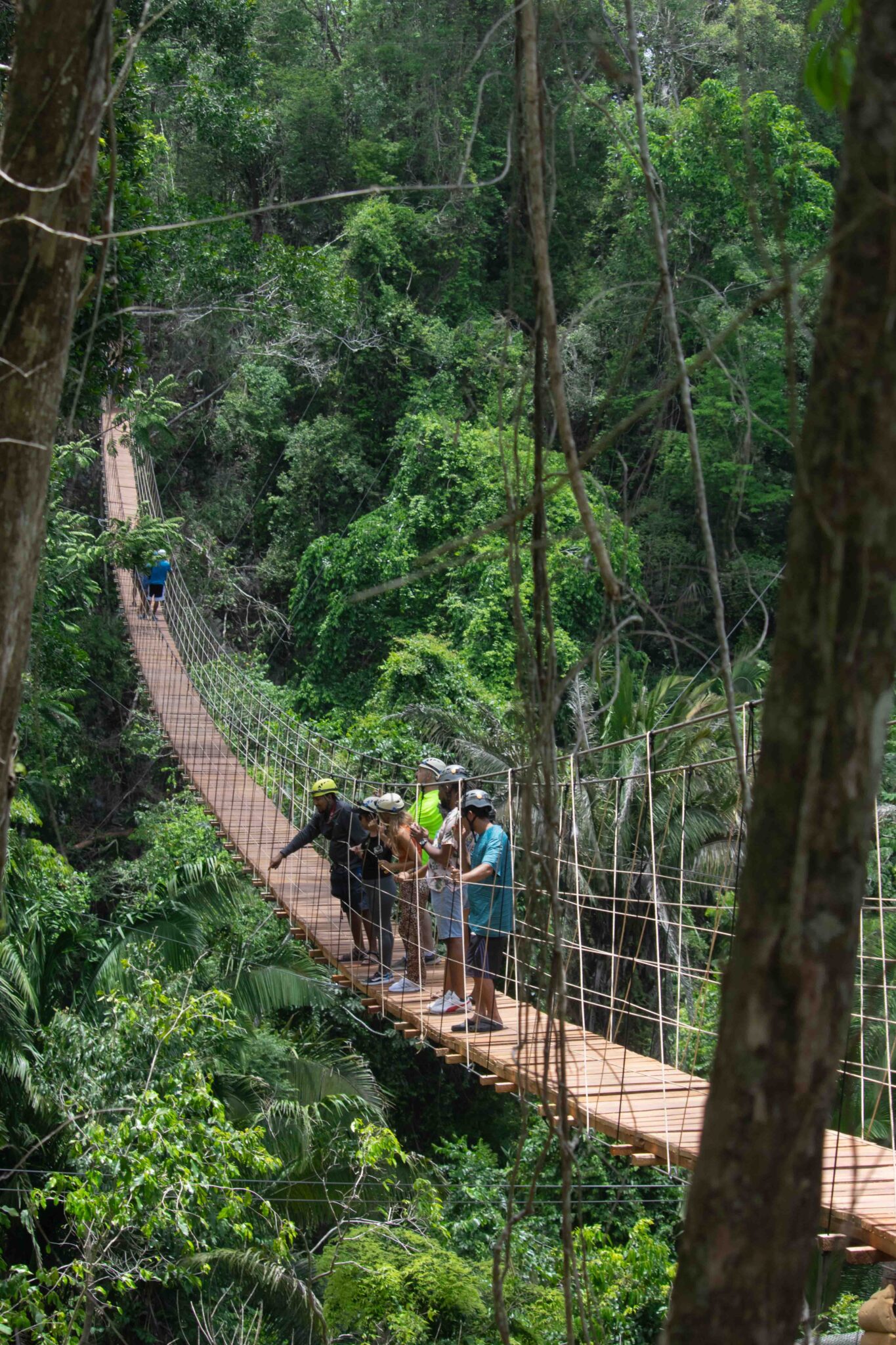 Rainforest Bridges in the Sky w/ Cave Tubing - Dark Night Cave Tubing ...