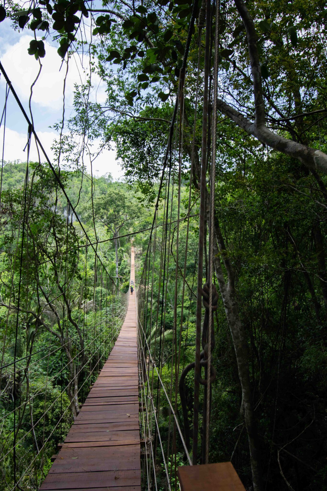 Rainforest Bridges in the Sky w/ Cave Tubing - Dark Night Cave Tubing ...