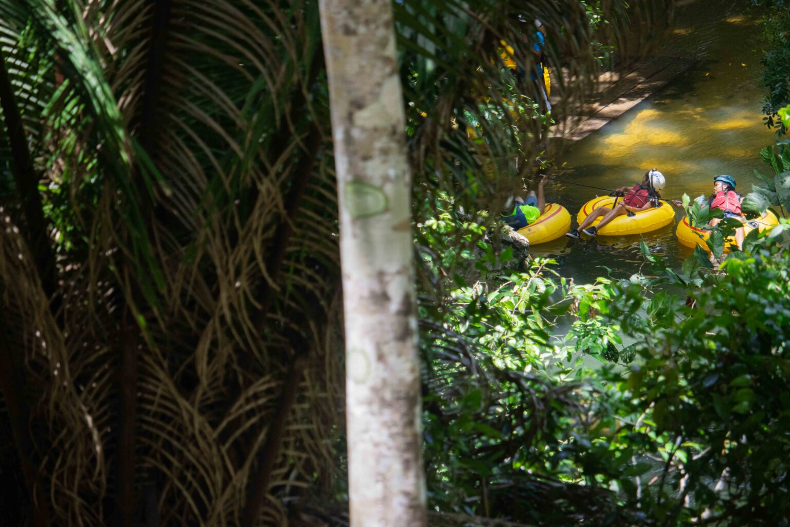 Rainforest Bridges in the Sky w/ Cave Tubing - Dark Night Cave Tubing ...